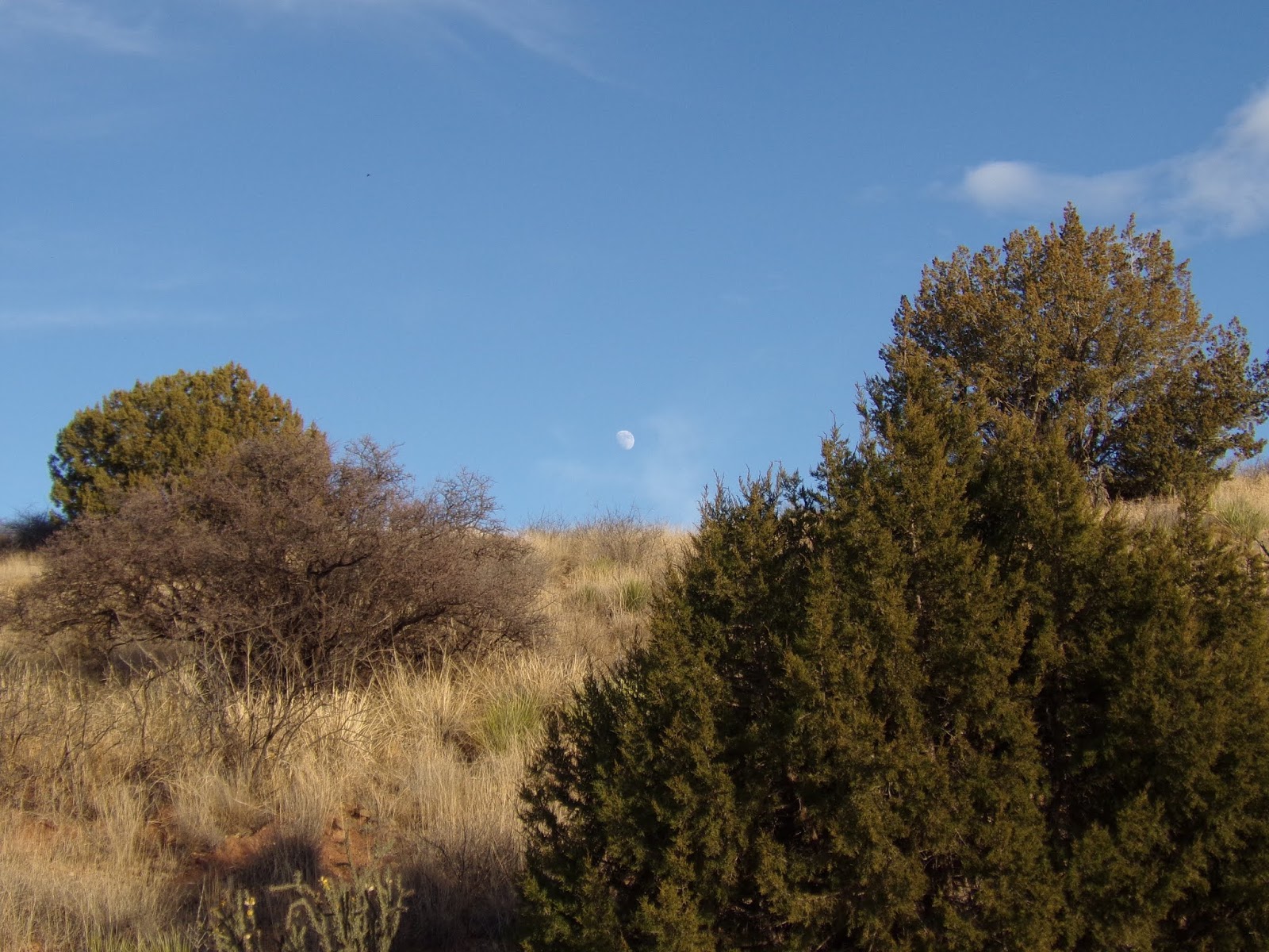 Sumner Lake State Park, Fort Sumner, New Mexico