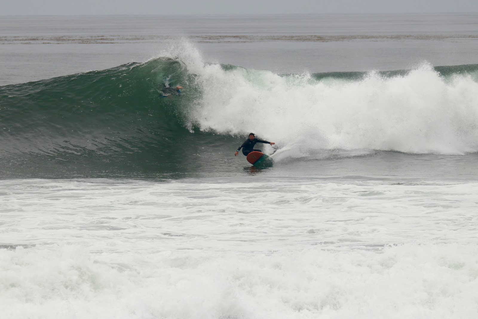 Murphy Surfboards: 2019