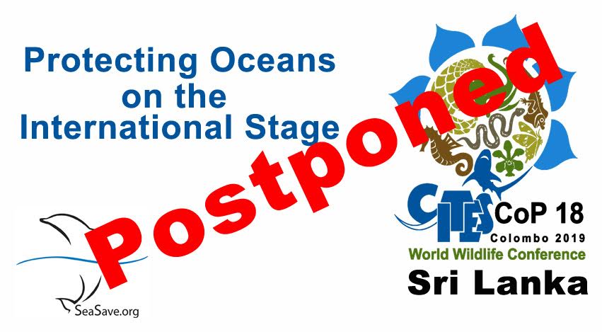 Sea Save Foundation "Ocean Week in Review" April 26, 2019: We Gather ...