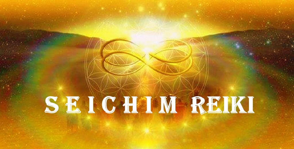 Danaela: Cursuri și seminarii