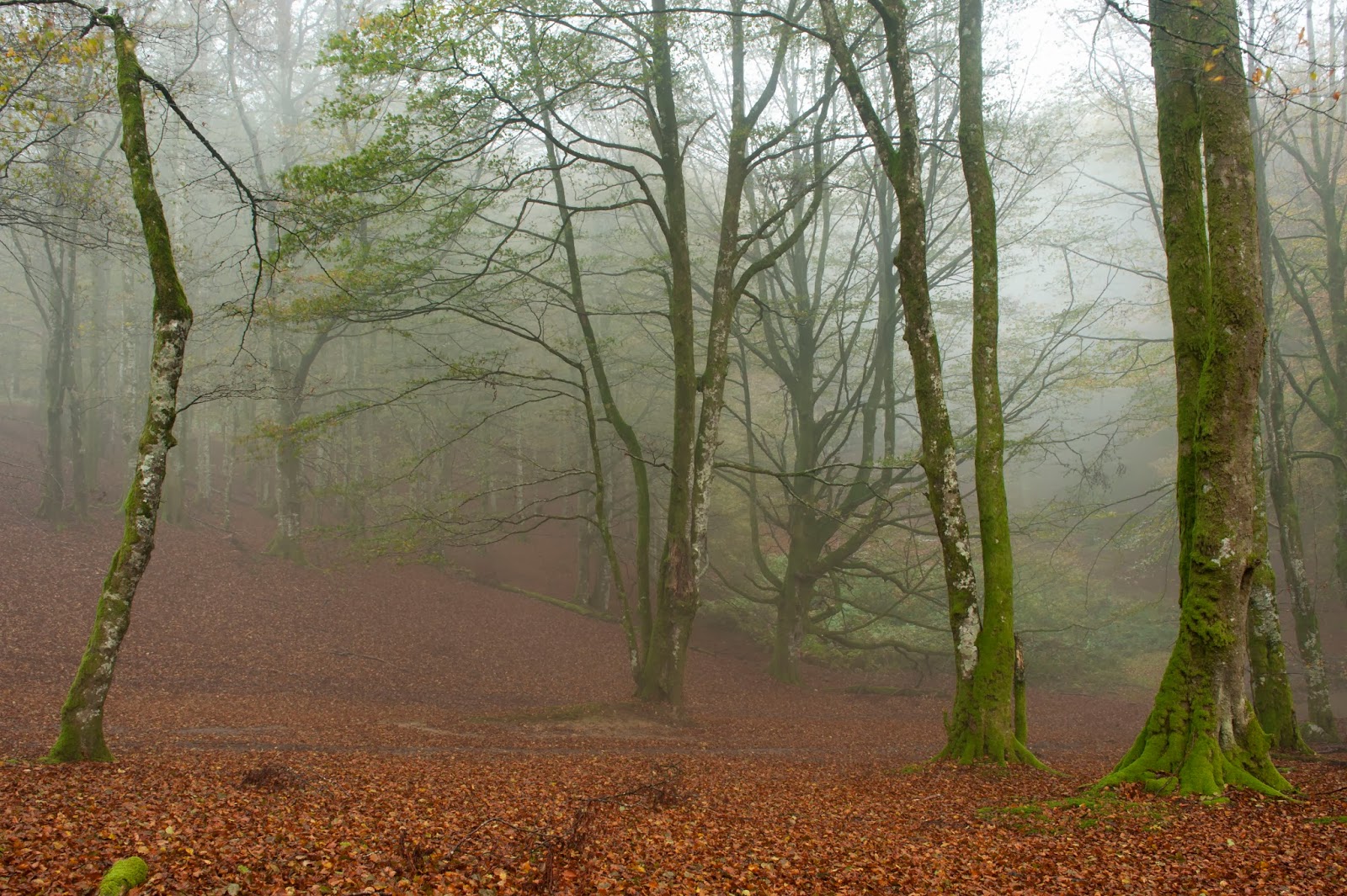 Instantes, fotos de Sebastián Navarrete: Área Natural Recreativa de los ...
