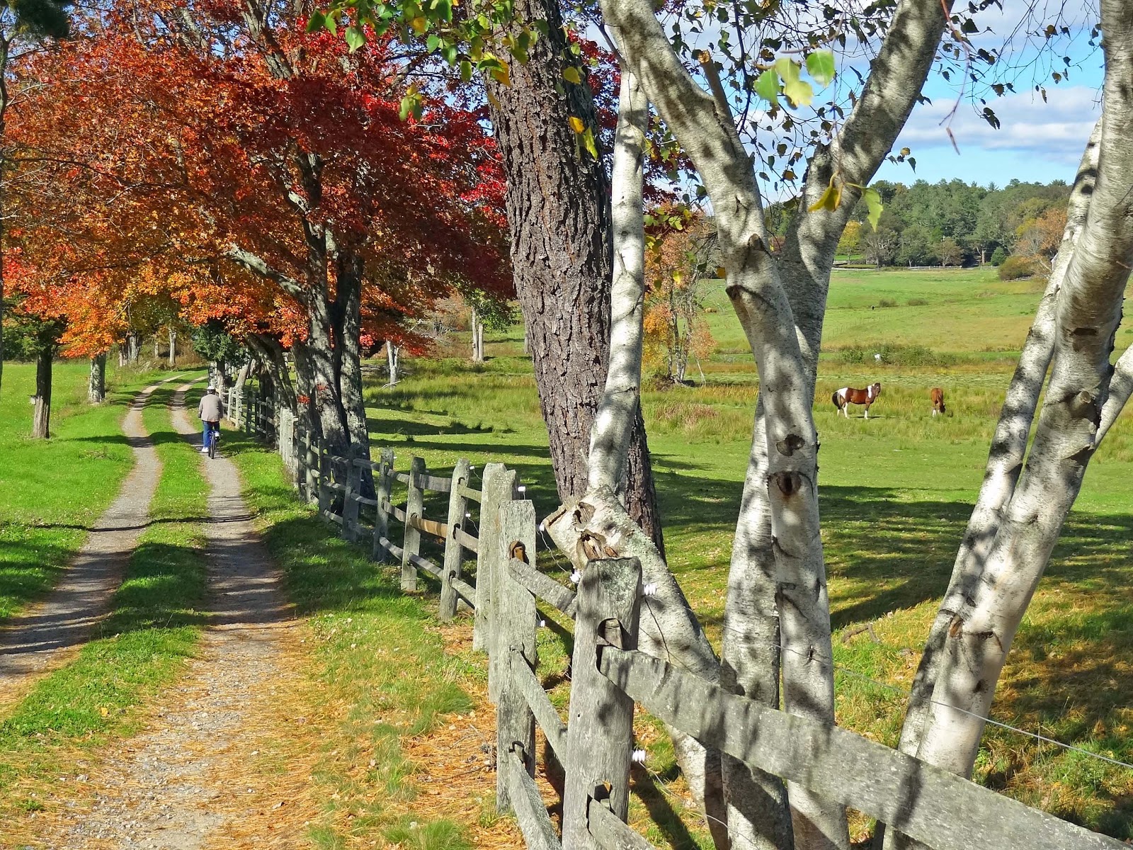 Joe's Retirement Blog: Country Lane, Fall, Plymouth, Massachusetts, USA
