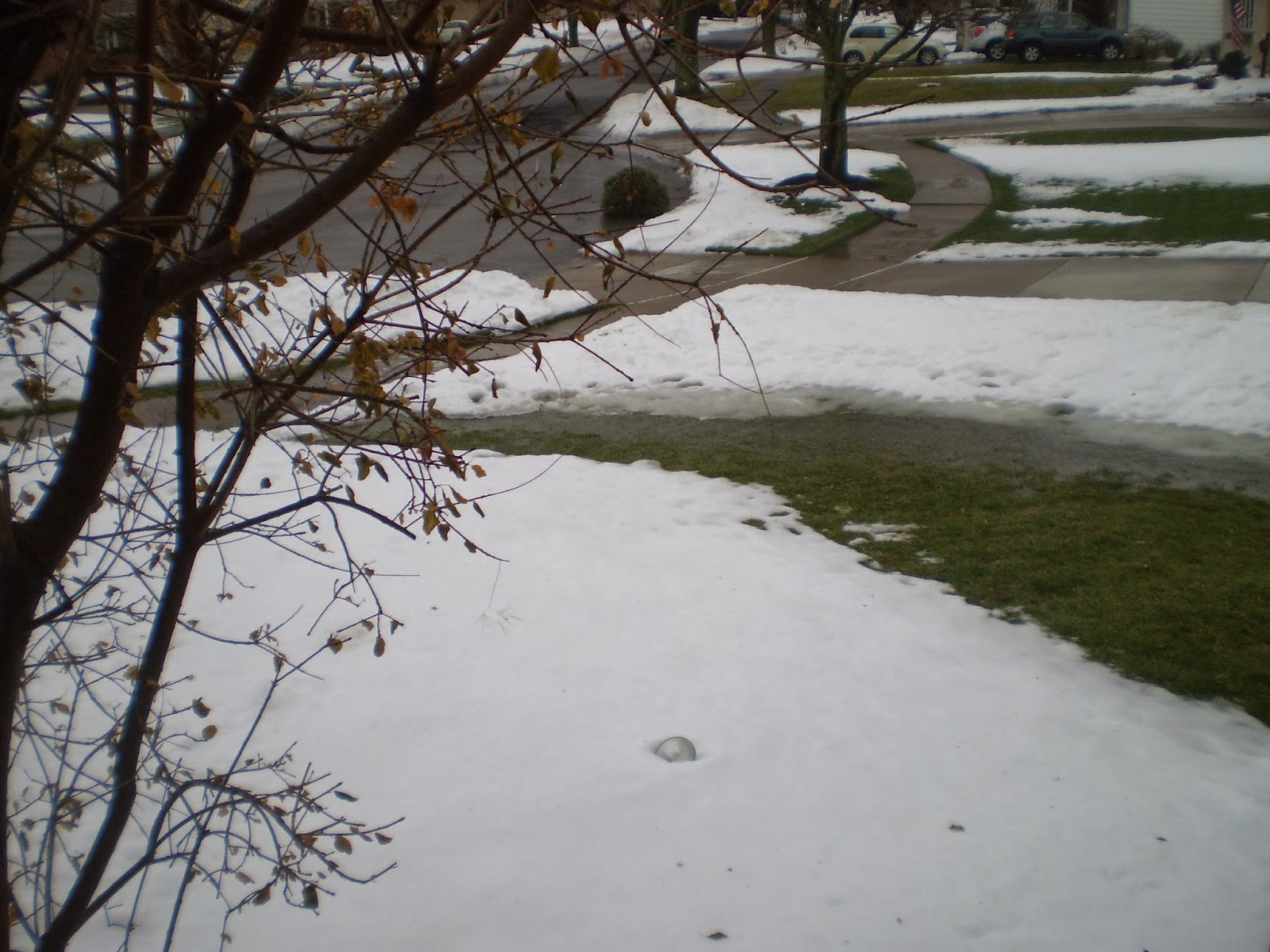 Brave Felicity: False Spring