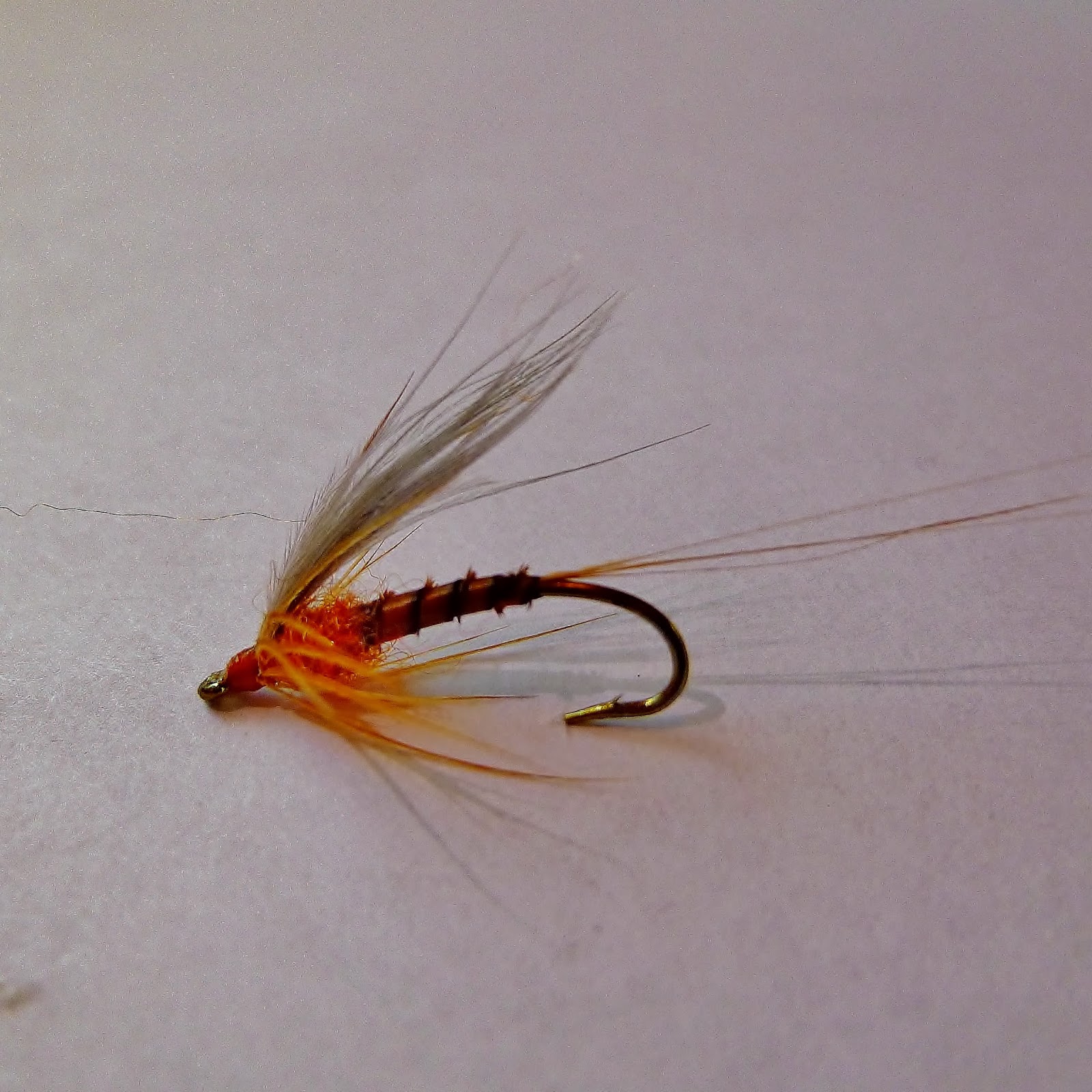 SOFT~HACKLE JOURNAL: Larger Western Mayflies of Autumn