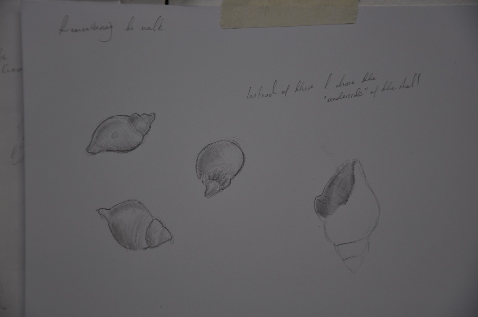 Aaron RM Foundation: 2D mark marking from natural form (part 1 & 2 draw ...