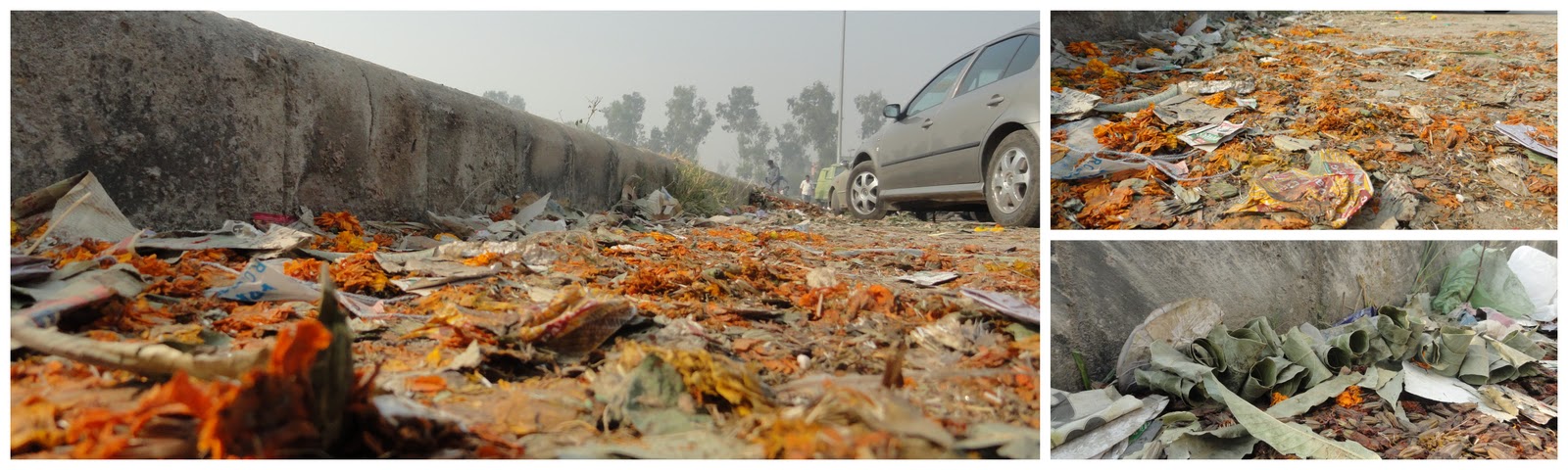 goldwynism: At the Ghazipur phool mandi