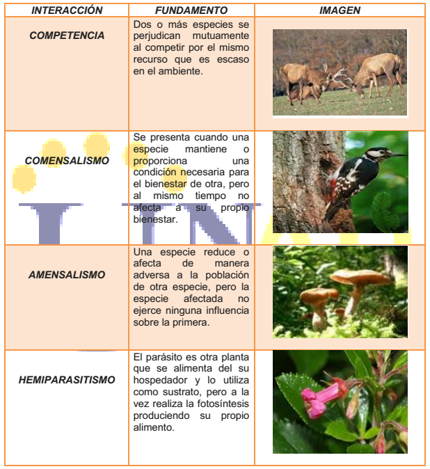 BIOColombia: Interacciones Inter e Intra Específicas