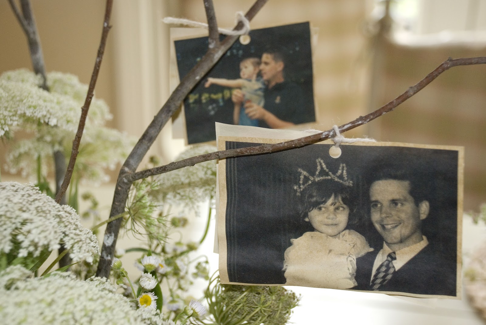 { the vintage wren }: :: memory tree