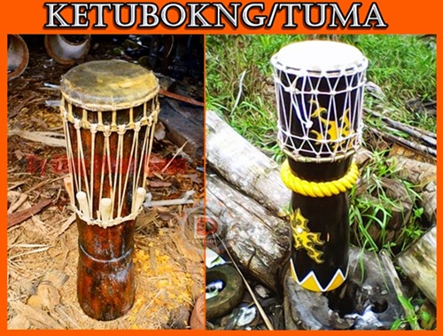 Alat Musik Tradisional Provinsi Kalimantan Barat | DTECHNOINDO