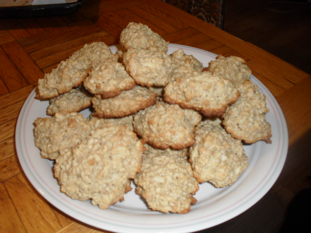 My Half Acre Homestead: Homestead Cookies!