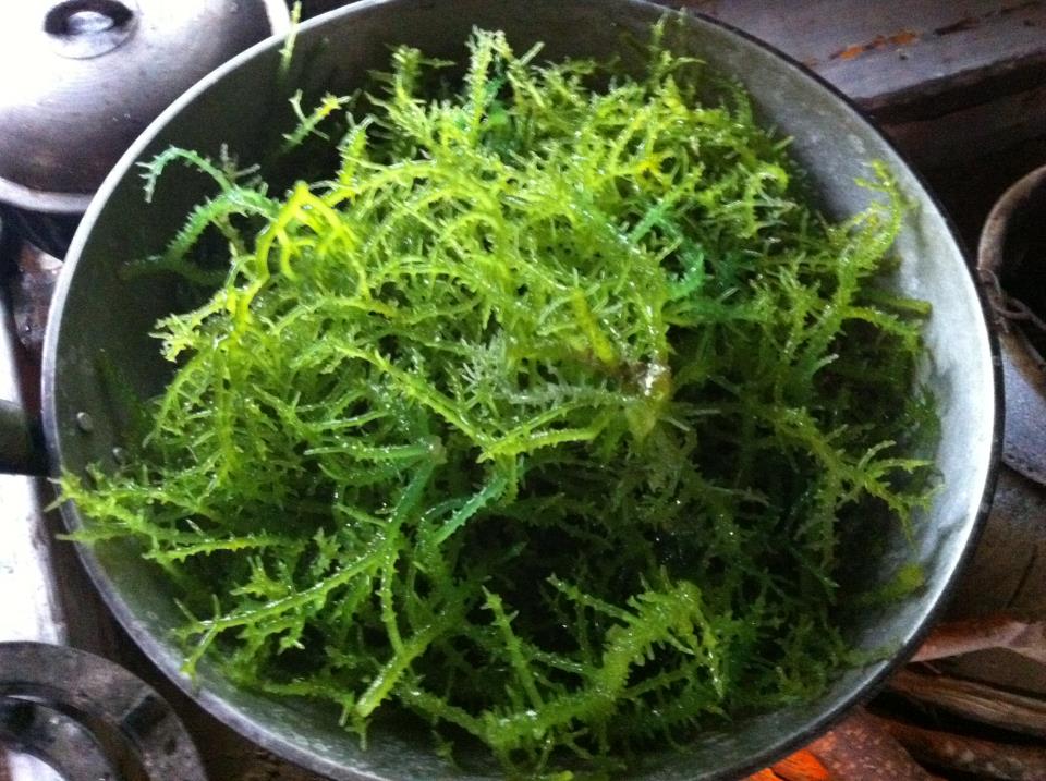 My Mission To The Philippines: One Reason To Go Back To The Philippines ...