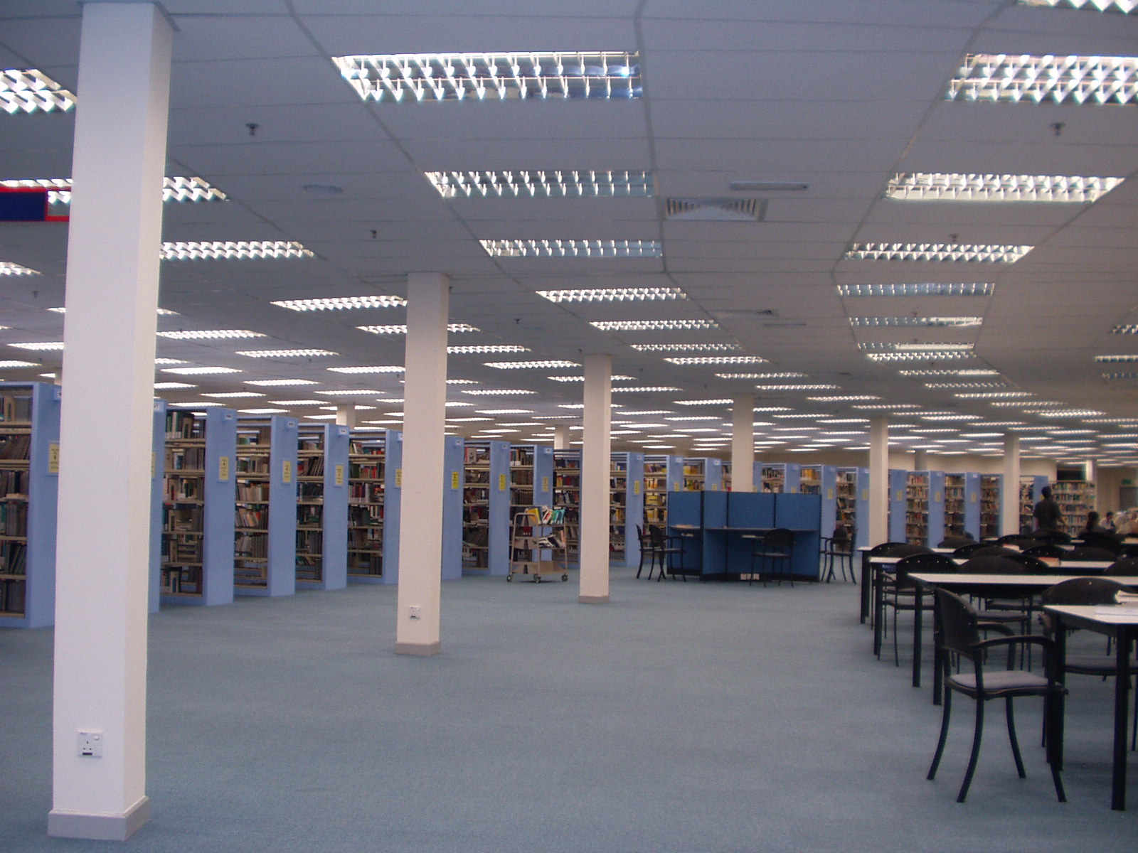 Manyi's~~: UMS View~~