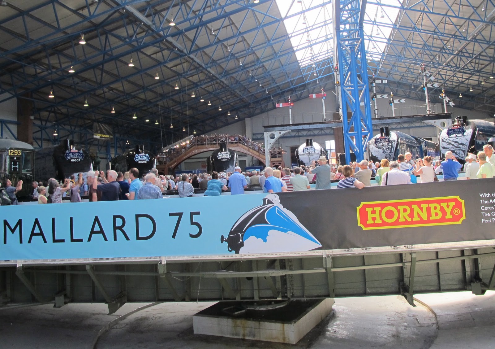 Vince's World: The Great Gathering; York