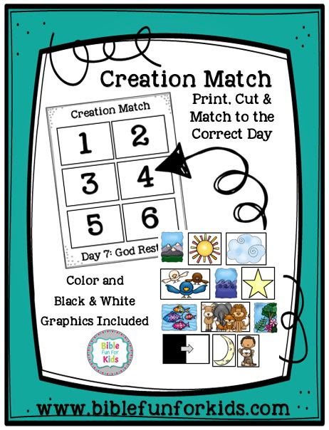 Creation Connect | Bible Fun For Kids