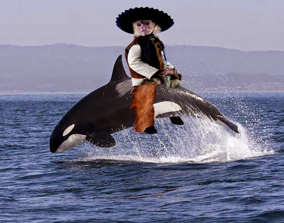 Blue Heron Blast: Whale with a monkey on its back