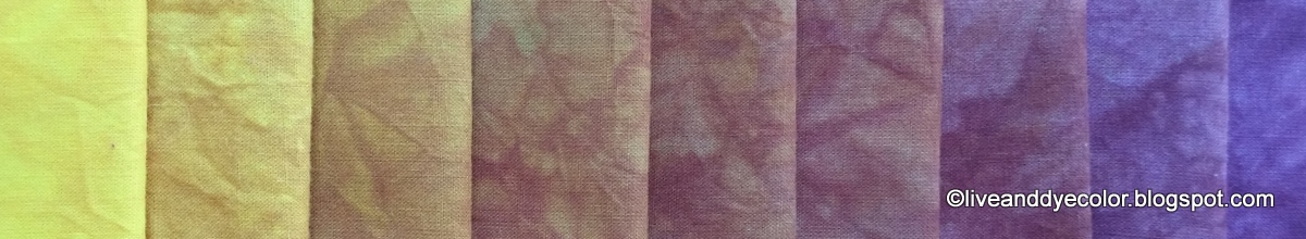 Live and Dye Color: Dyeing a gradient with Procion MX