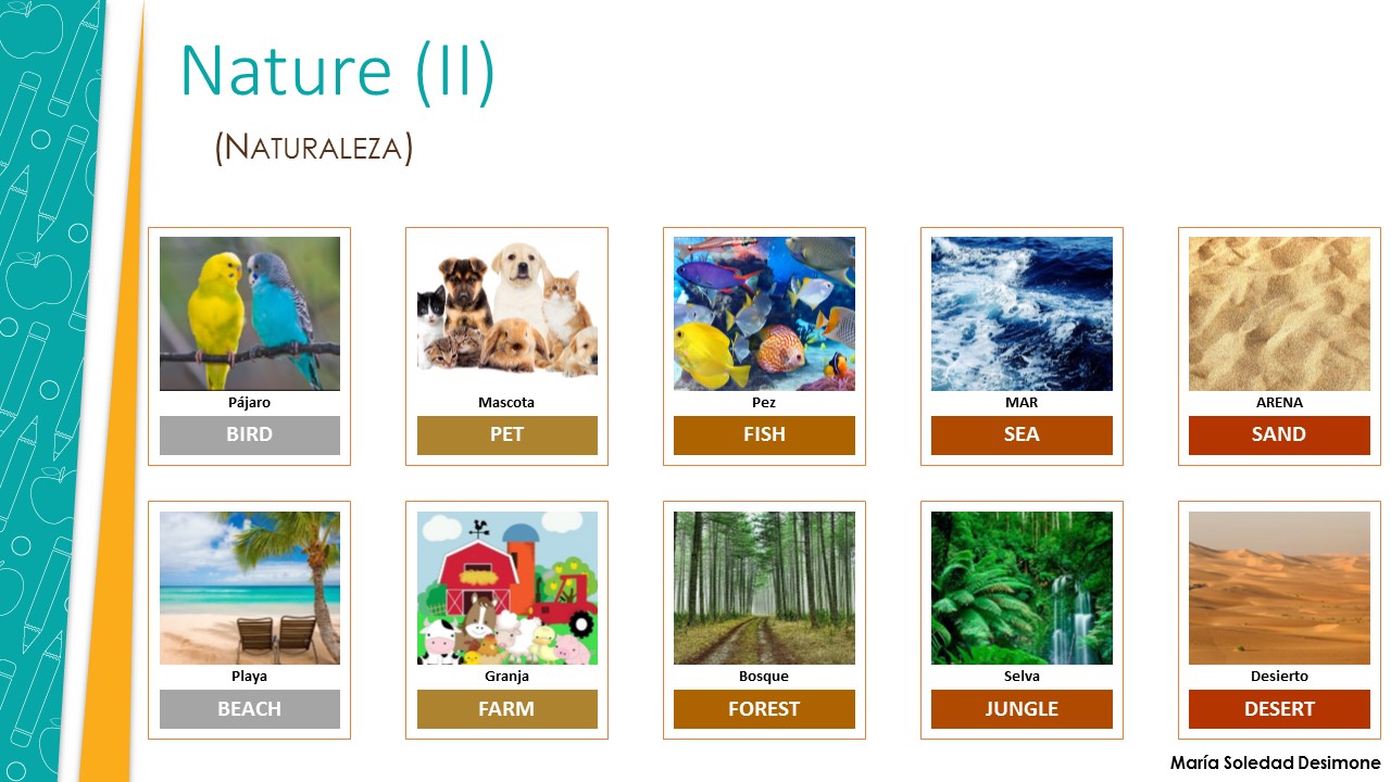 Cultura y TIC: INGLÉS. VOCABULARY. NATURE (NATURALEZA)