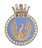 The Submariners Lounge: 809 Squadron HMS Ark Royal