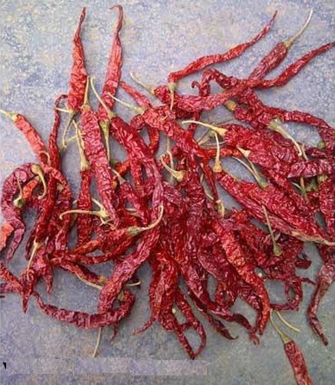 Pemborong Lada Kering Malaysia