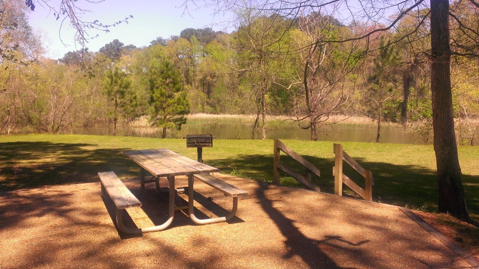 Dale Cox, Historian & Author: #84 The Pirate Billy Bowlegs in Jackson ...