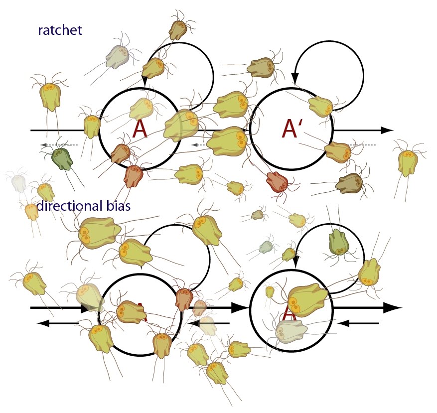 Skeptic Wonder: Personal army of diplomonads (doodle)
