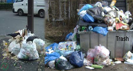 Kitchen Tools Names, Meaning & Pictures | Necessary Vocabulary ...