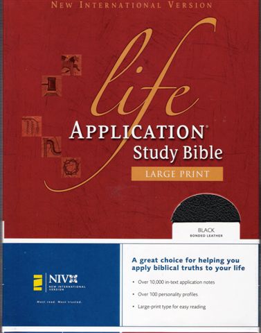 365 Bibles: Life Application Study Bible