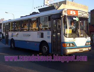 Colectibus - Zona de Buses: LINEA 8