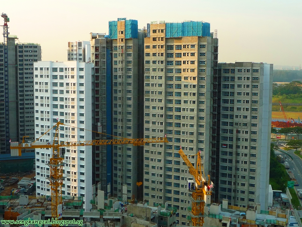 Zai@Sengkang: Fernvale Ridge Snapshot (Completed)