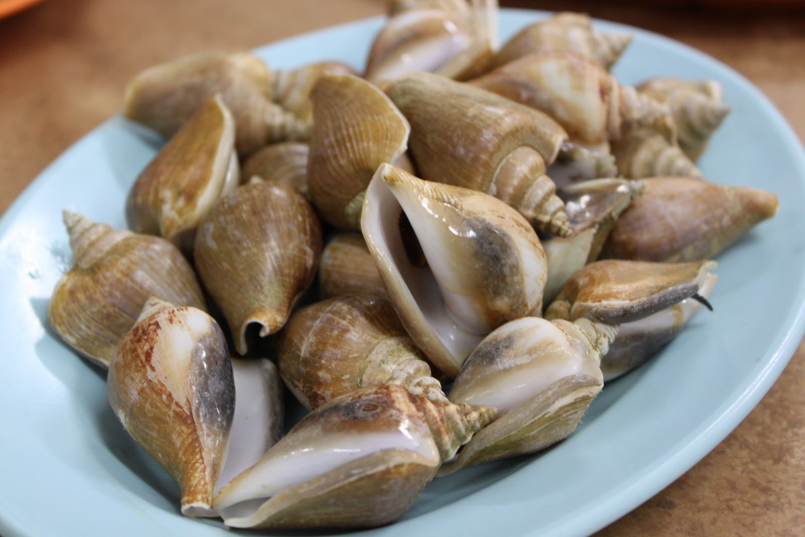 The Hungry Excavator: March 2011