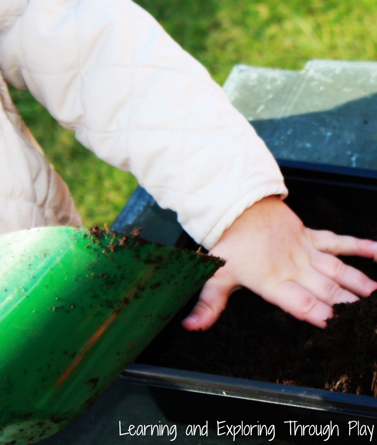 Learning and Exploring Through Play: Planting Seeds with Toddlers
