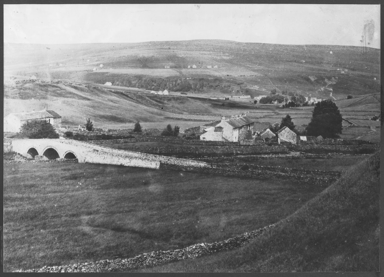 Heather in Cowshill: Burnhope in Weardale Village