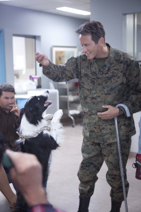 Its a Wonderful Movie - Your Guide to Family and Christmas Movies on TV ...