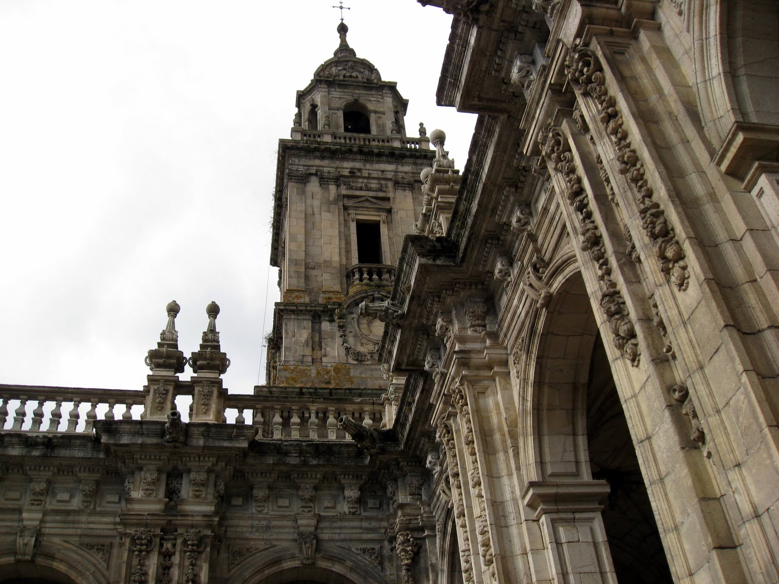 LUGO | Colibrí Excursiones