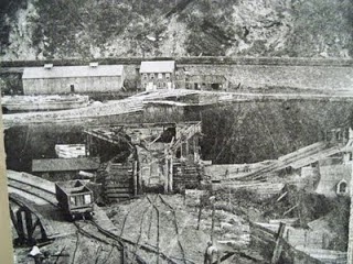 Cultured Carbon County: Monet Still-life in Real-life: Springtime comes ...