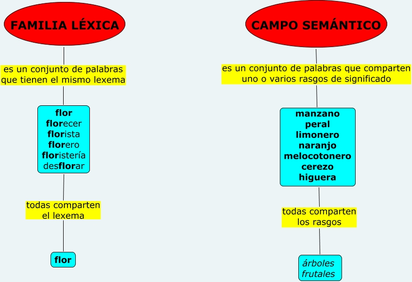 Maestro San Blas: Campos semántico y léxico