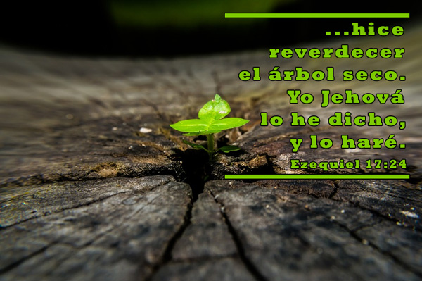 REVERDECIENDO POR SU AMOR