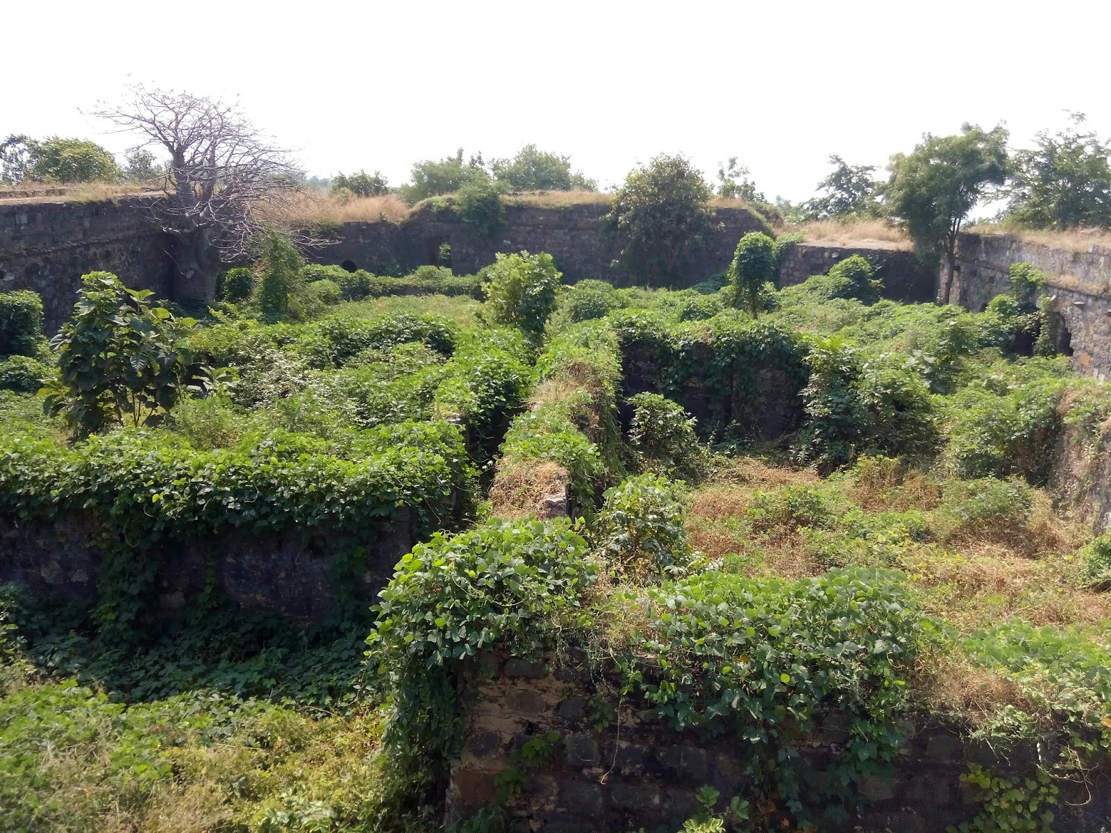 Indragad fort near Pali Karambeli in Gujarat (India) | The journey of a ...