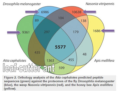 Young Earth Science: YES - the Young Earth Science podcast 2080 ...