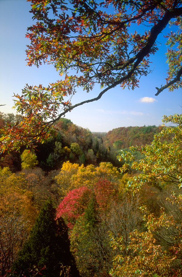 Discover Burlington Ontario: Fall Fun in Burlington, Ontario