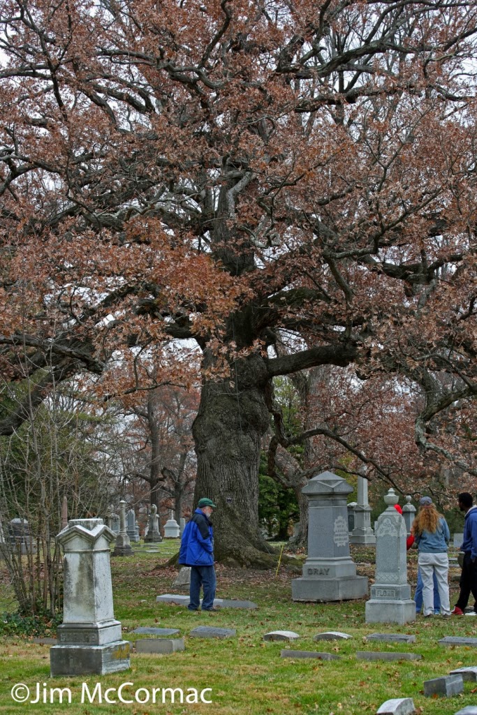 Ohio Birds and Biodiversity: Spring Grove Cemetery and the Braun sisters