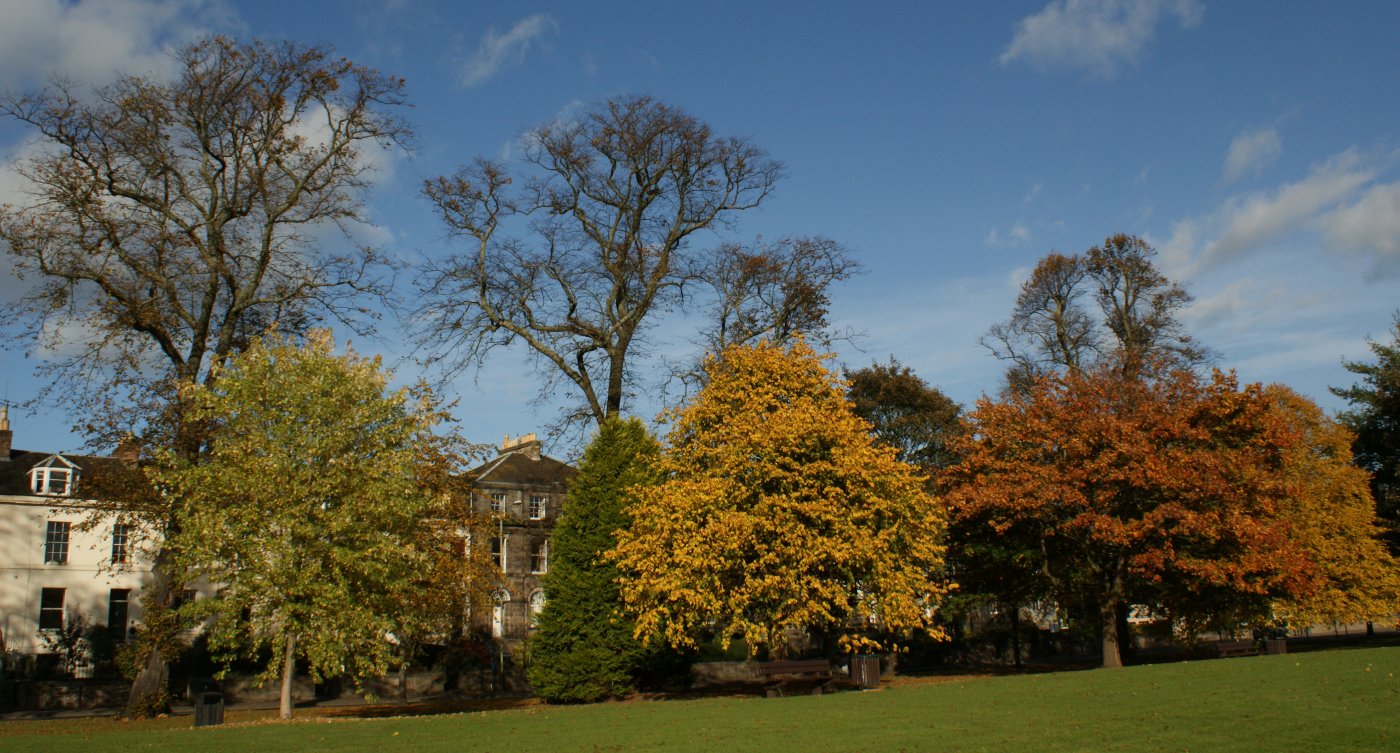 Tour Scotland: Tour Scotland Photograph Autumn South Inch Perth October ...