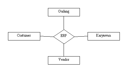apa saja: SOFTWARE ERP