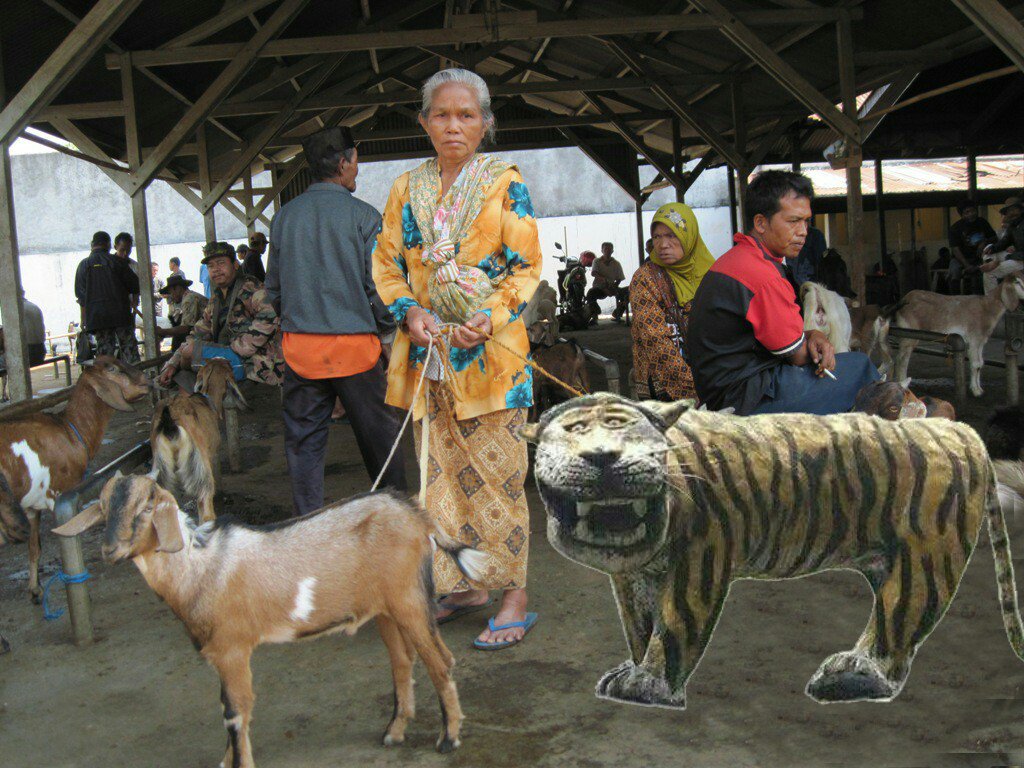 Ngakak, Inilah 19 Memes Lucu Dari Harimau Paling Ceria di Dunia