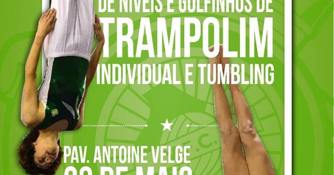 Desporto no Distrito de Setúbal: Torneio de Níveis e Golfinhos de ... Desporto no Distrito de Setúbal: Torneio de Níveis e Golfinhos de ...
