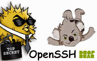 PERBEDAAN DROPBEAR DAN OPENSSH | BERBAGI ILMU SEPUTAR DUNIA INTERNET