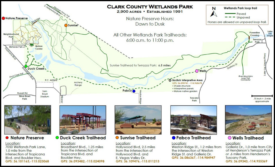 Ken's Photo Gallery: Clark County Wetlands Park & Nature Preserve