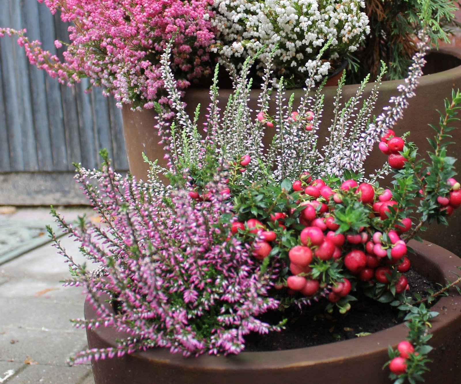 Hiljamaarian sisustuskirja: Syyskukat piristämään pihaa