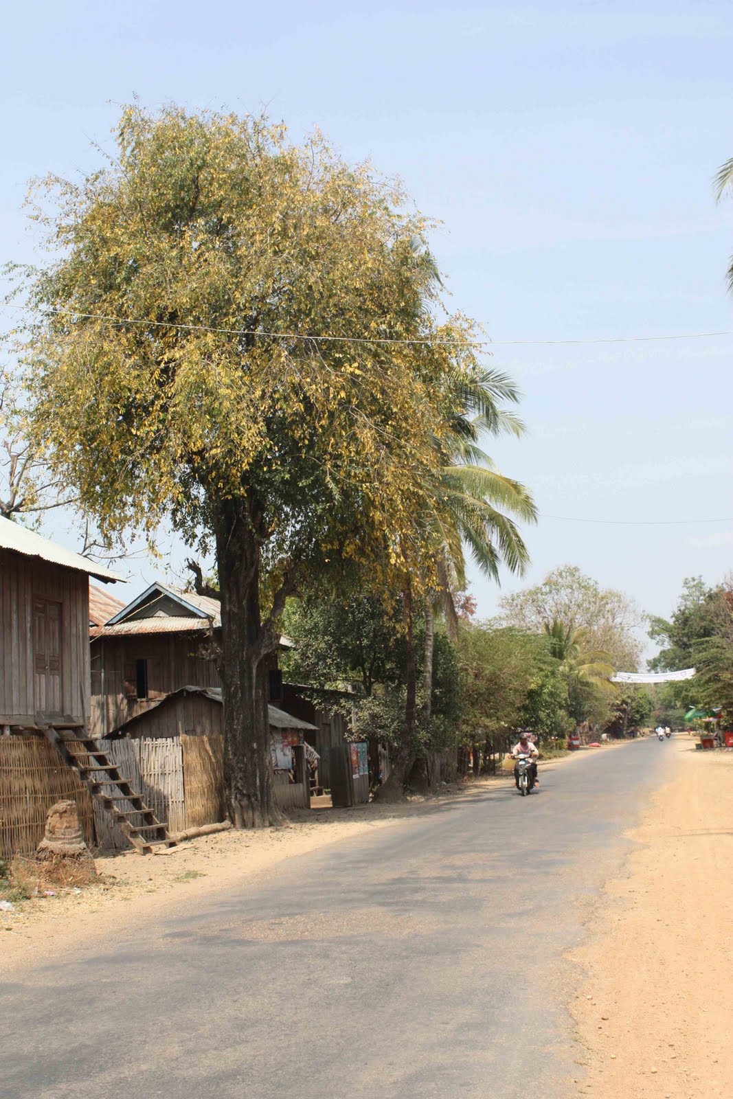 The World Tastes Good: Kratie, Cambodia (Day 3, Part 2)