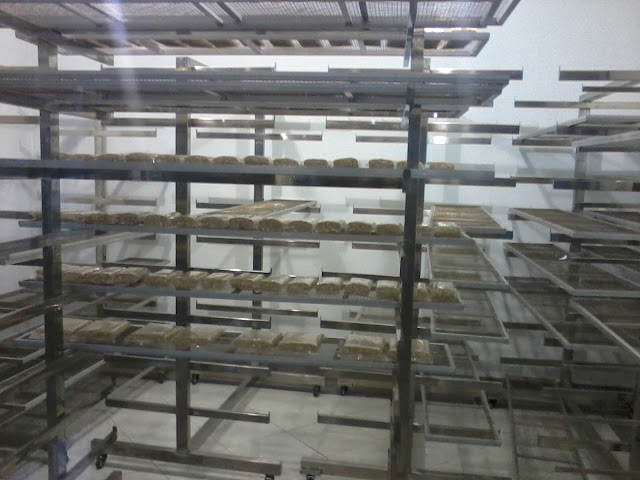 MAKALAH KOPERASI PRODUSEN TEMPE TAHU INDONESIA (KOPTI) WILAYAH BOGOR